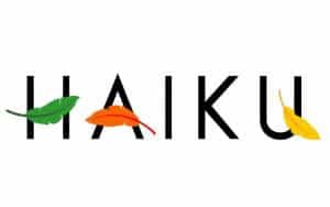 Understanding the Haiku Operating System - Developers, Designers ...