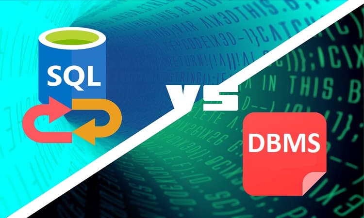 What s The Difference Between DBMS Software And SQL Tool Developers 